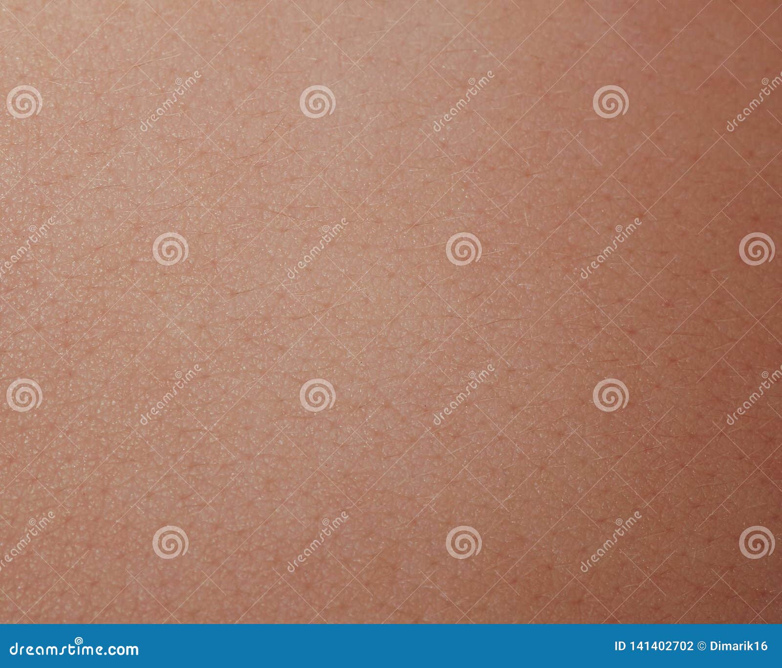 Macro of skin texture stock photo. Image of science - 141402702