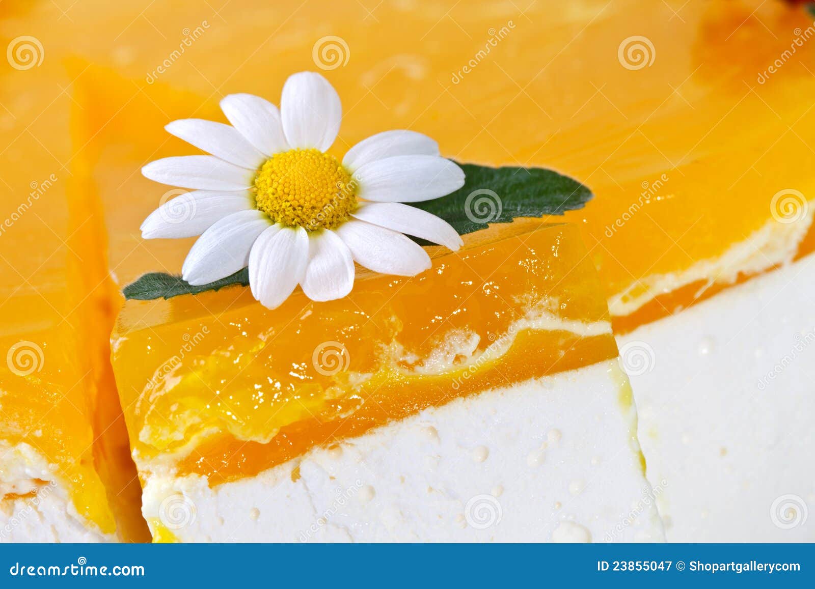Macro of Cake with Daisy stock image. Image of dish, creamy - 23855047