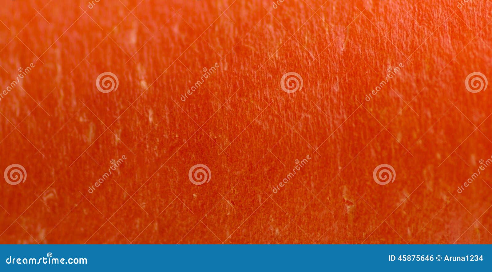 Macro of Carrot Peel Texture Stock Photo - Image of carrot, peel: 45875646