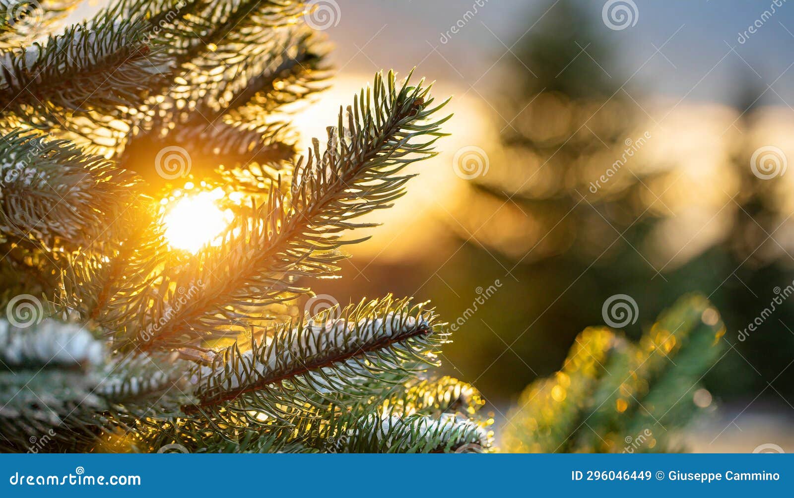 Macro Christmas Tree - Background - Generative AI Stock Illustration ...