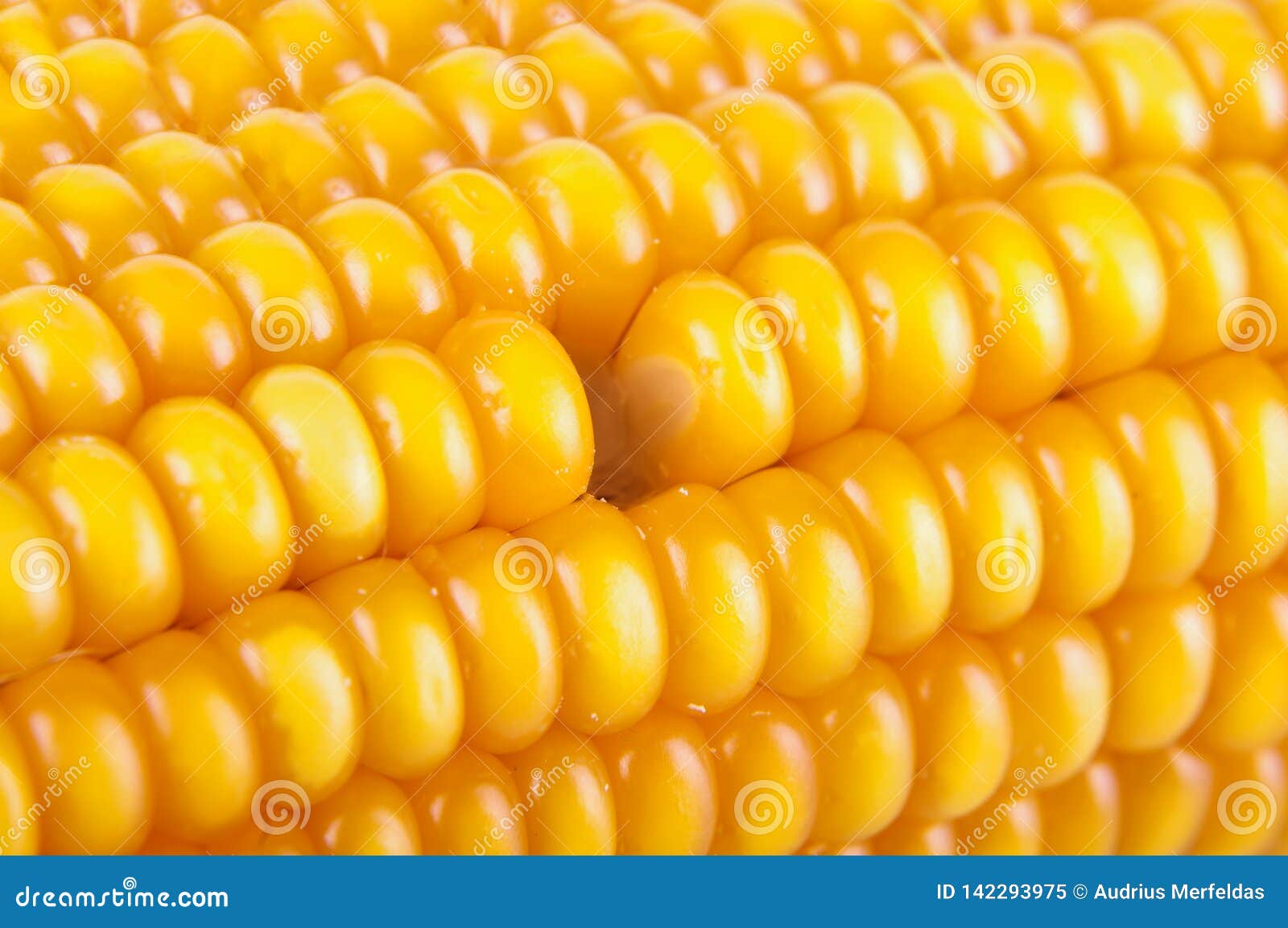 Macro Close Up of Corn Texture Missing Single Kernel Stock Image ...