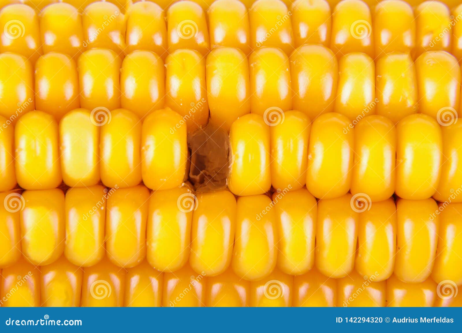 Macro Close Up of Corn Texture Missing Single Kernel Stock Photo ...
