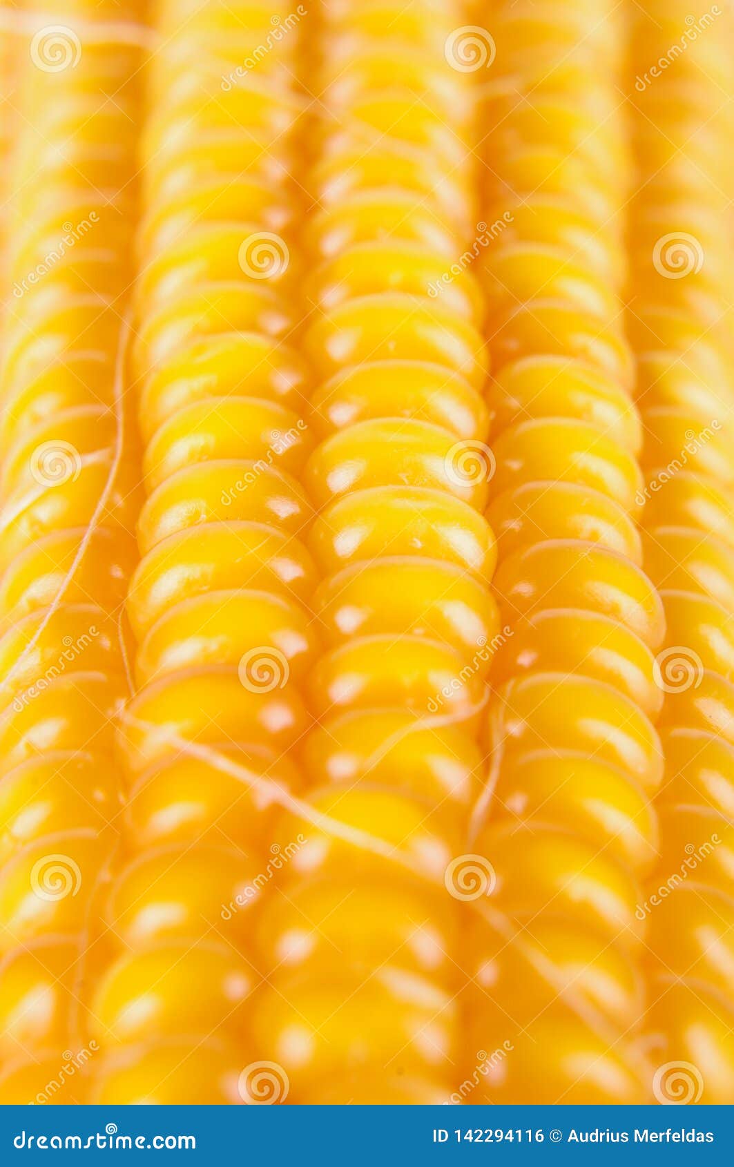 Macro Close Up of Corn Texture Stock Photo - Image of pattern ...