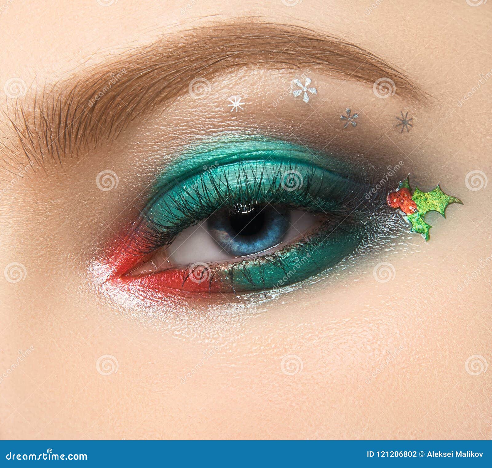 Macro and Close-up Creative Make-up Theme: Beautiful Female Eye Stock ...