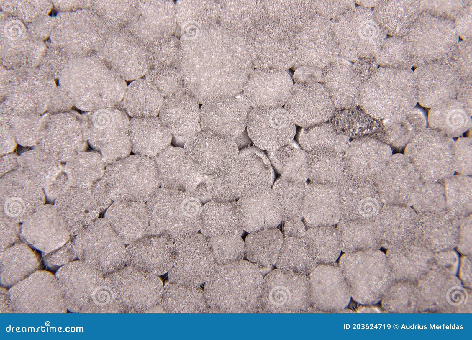 Macro Close Up of Graphite Polystyrene Bubbles Stock Image - Image of ...