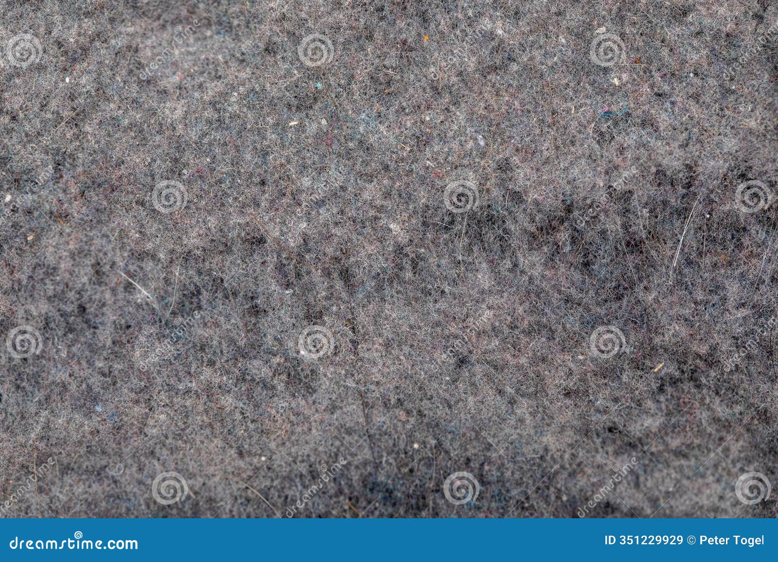 Macro Close-Up of Lint Texture with Microplastics in a Laundry Filter ...