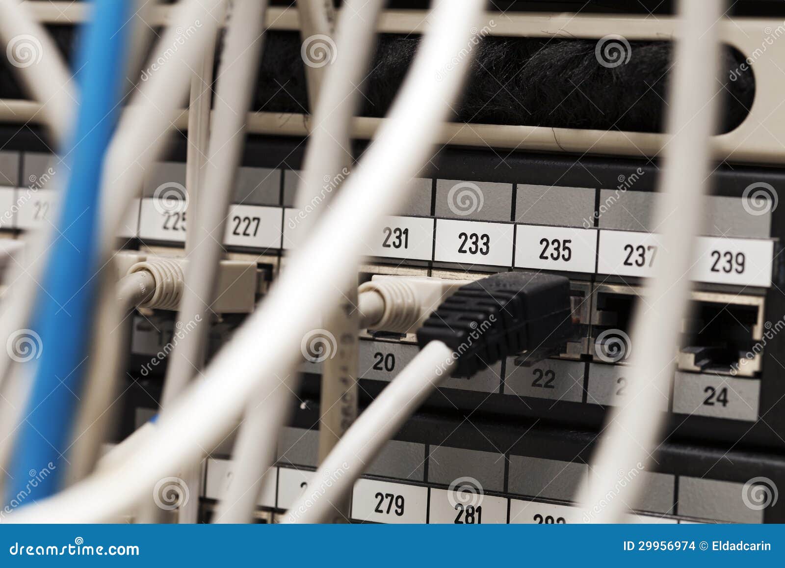 Network Cables Connected To Server Stock Photo - Image of cloud ...