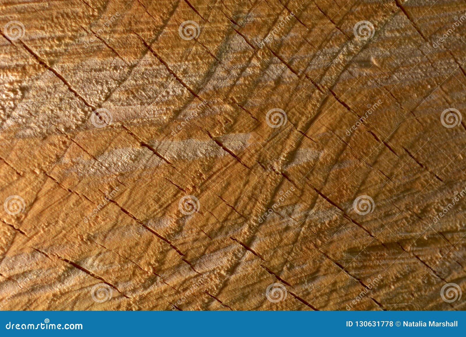 A Macro Photo of a Freshly Cut Tree, Showing Texture of the Wood. Soft ...
