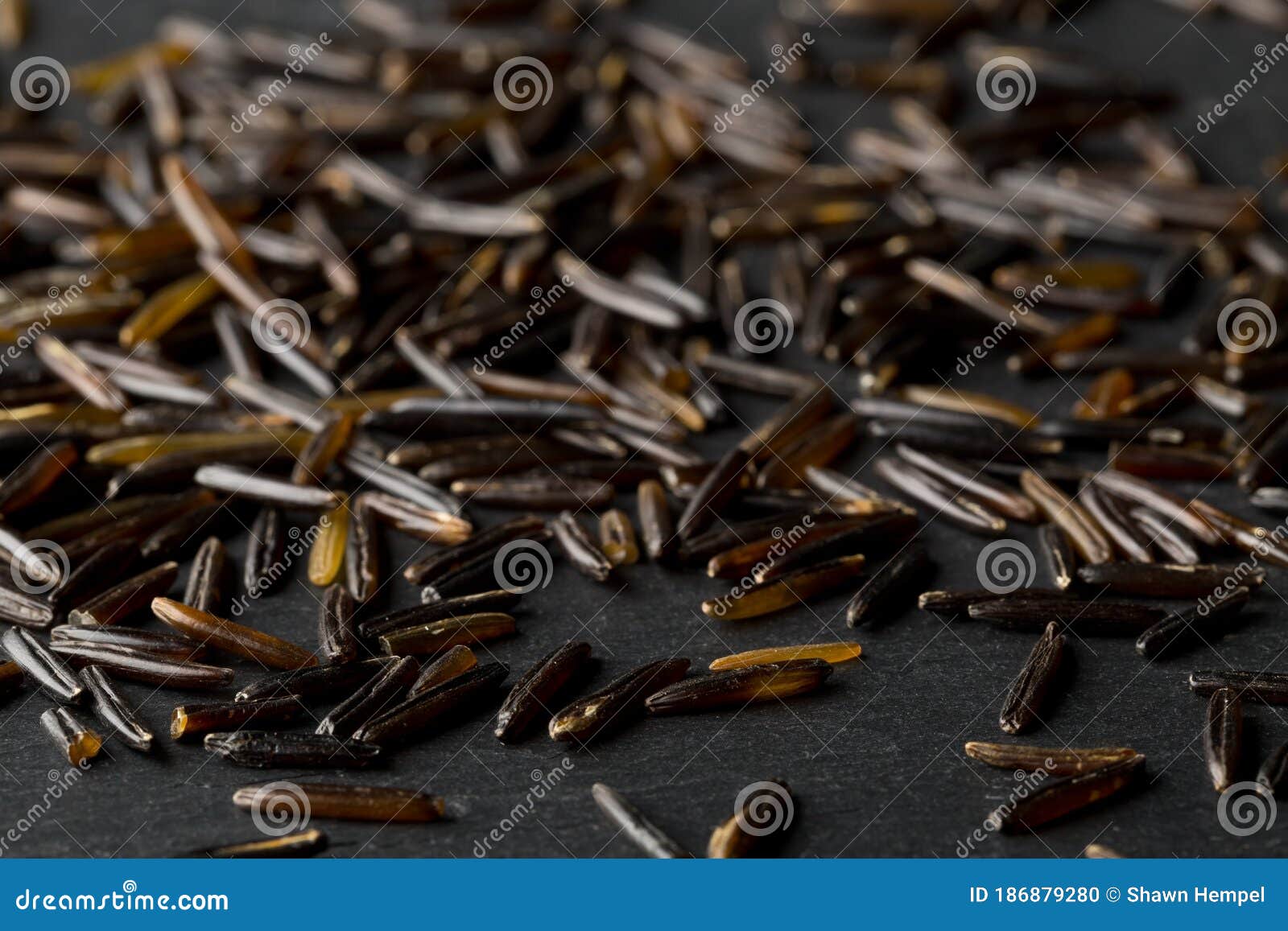 Macro Close Up of Uncooked, Raw, Black Wild Rice Grains on Dark Stone ...
