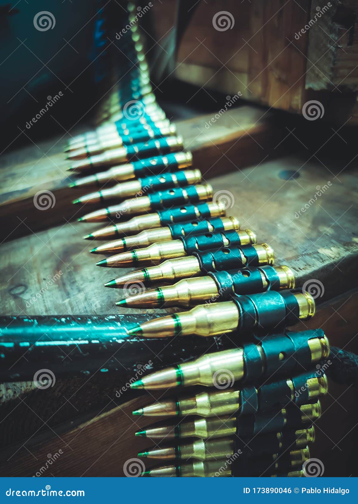 A Macro Close Up View of a Row of Regular Army Brass and Copper Bullets ...