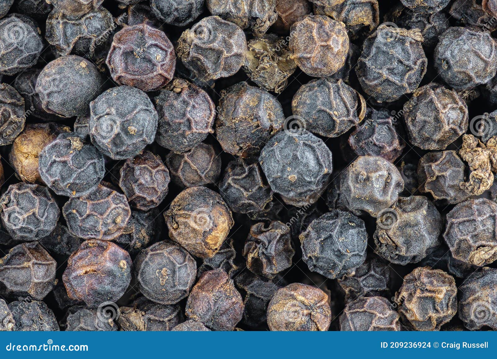Macro Closeup Background of Black Pepper Corn Stock Photo - Image of ...
