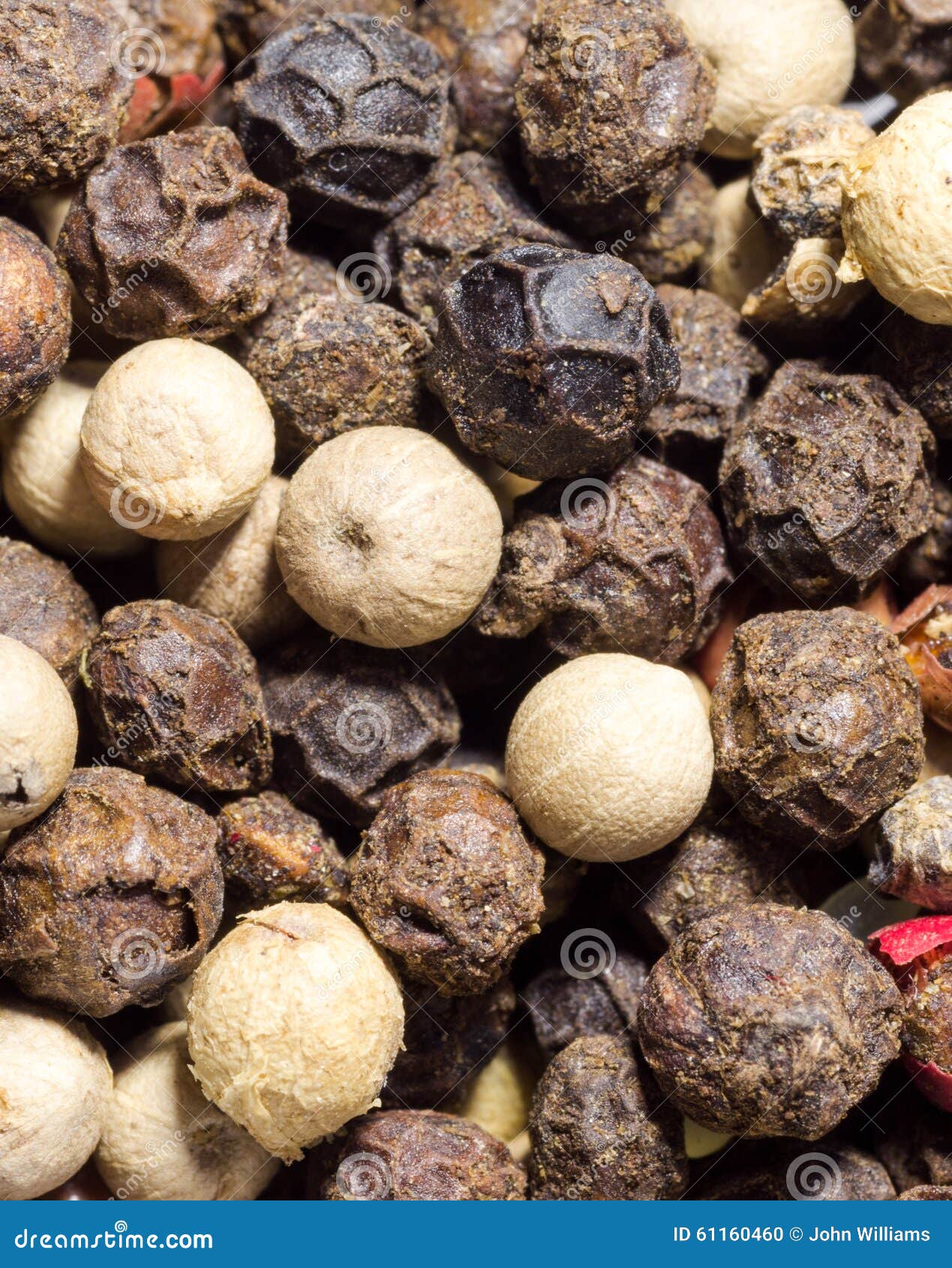 Macro Closeup of Mixed Peppercorns Stock Photo - Image of kitchen ...