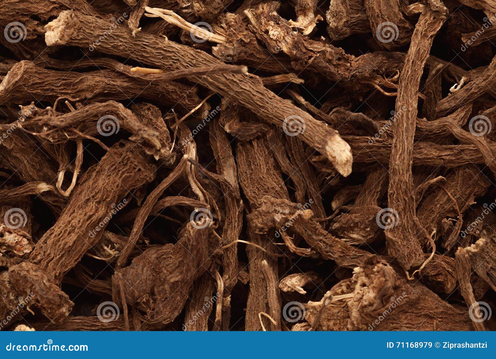 Acorus Calamus Root Royalty-Free Stock Photo | CartoonDealer.com #114918165