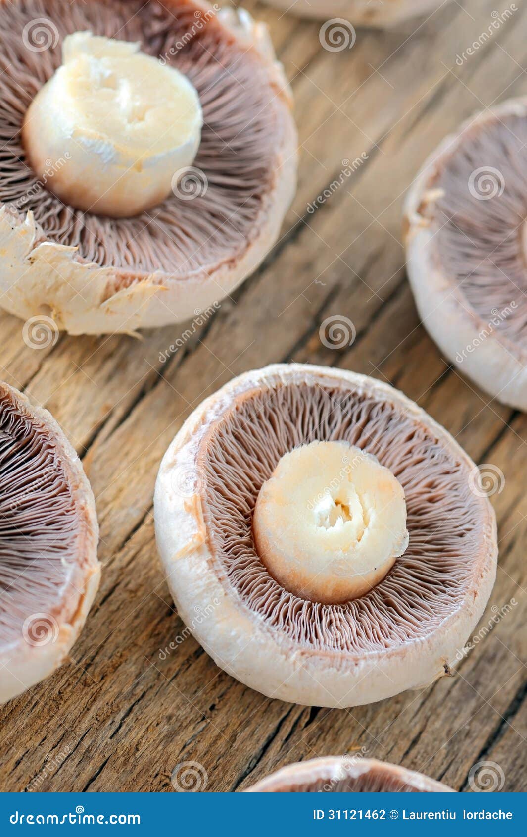Macro Closeup of Raw Flat Mushrooms Stock Photo - Image of freshness ...
