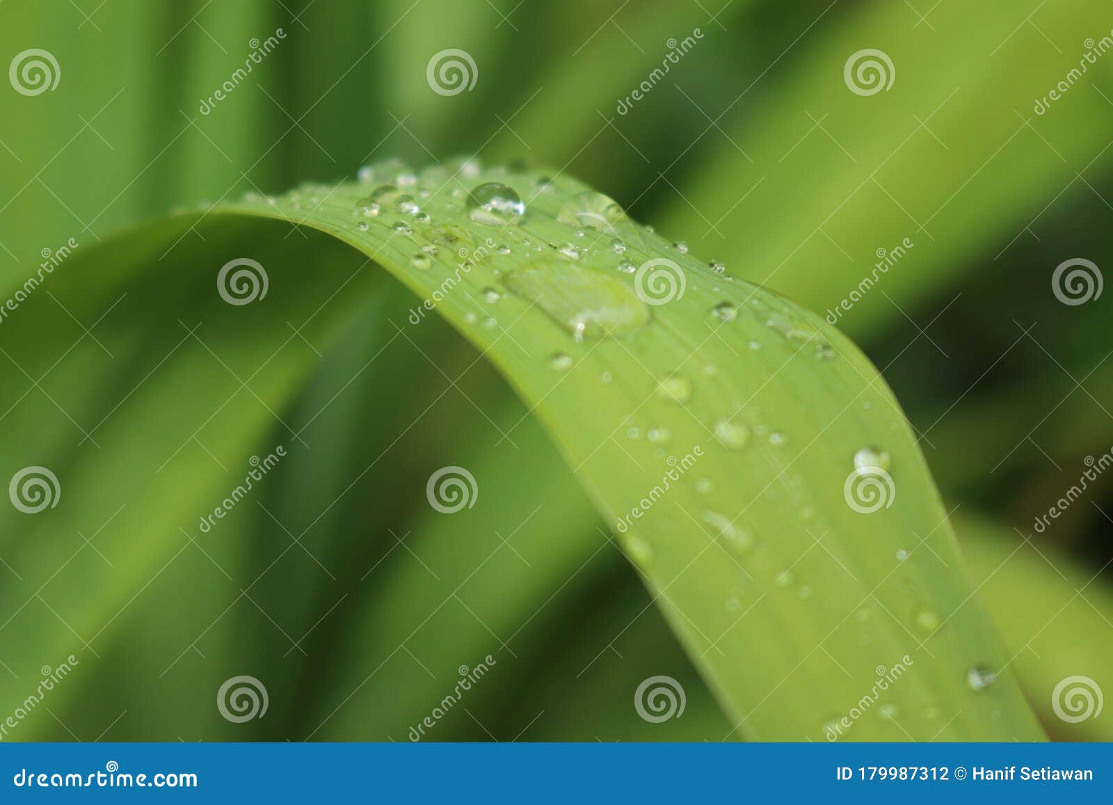 3,386 Small Raindrops Photos - Free & Royalty-Free Stock Photos from ...