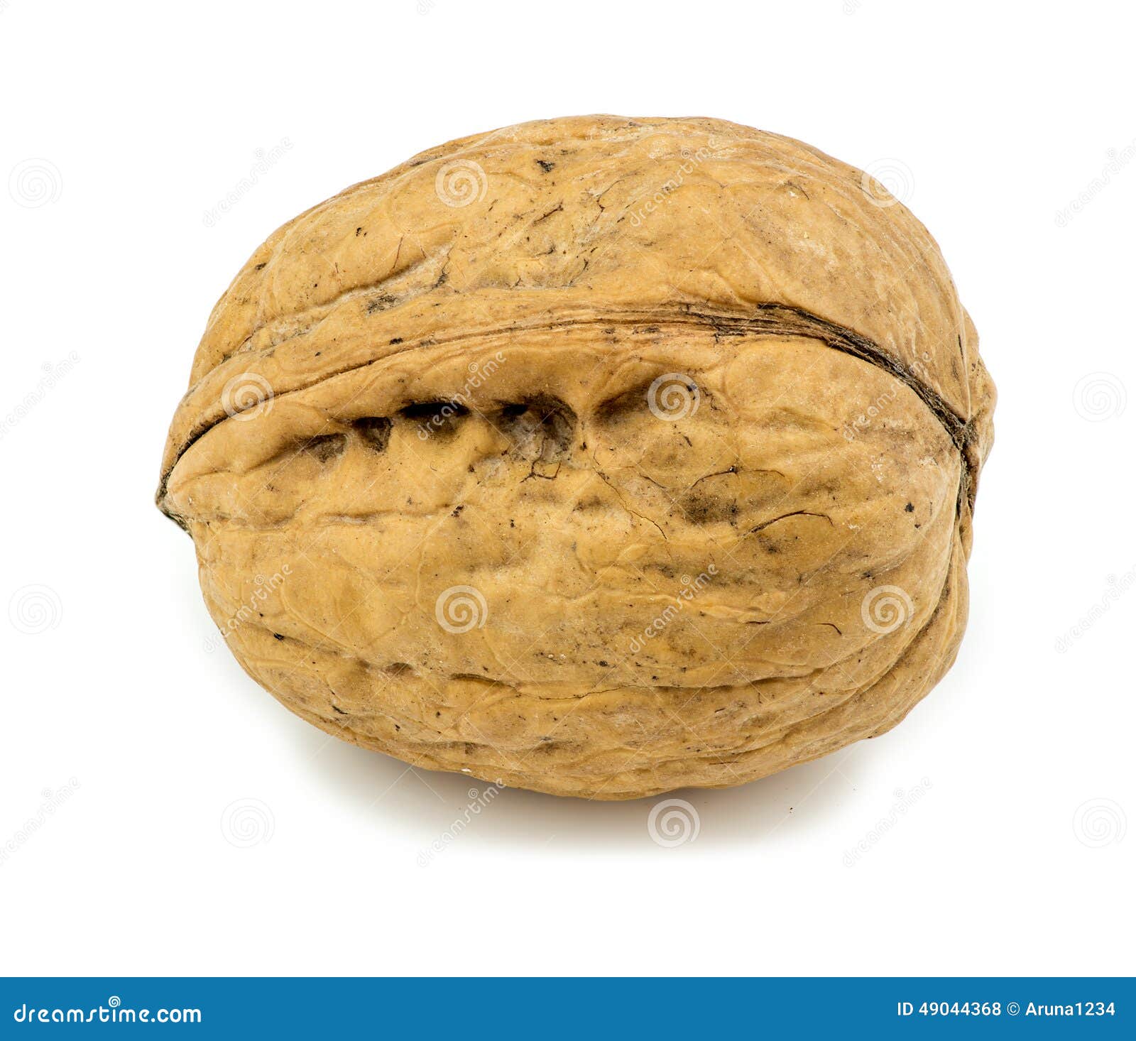 Macro Closeup of Unshelled Walnut Isolated on White Stock Photo - Image ...