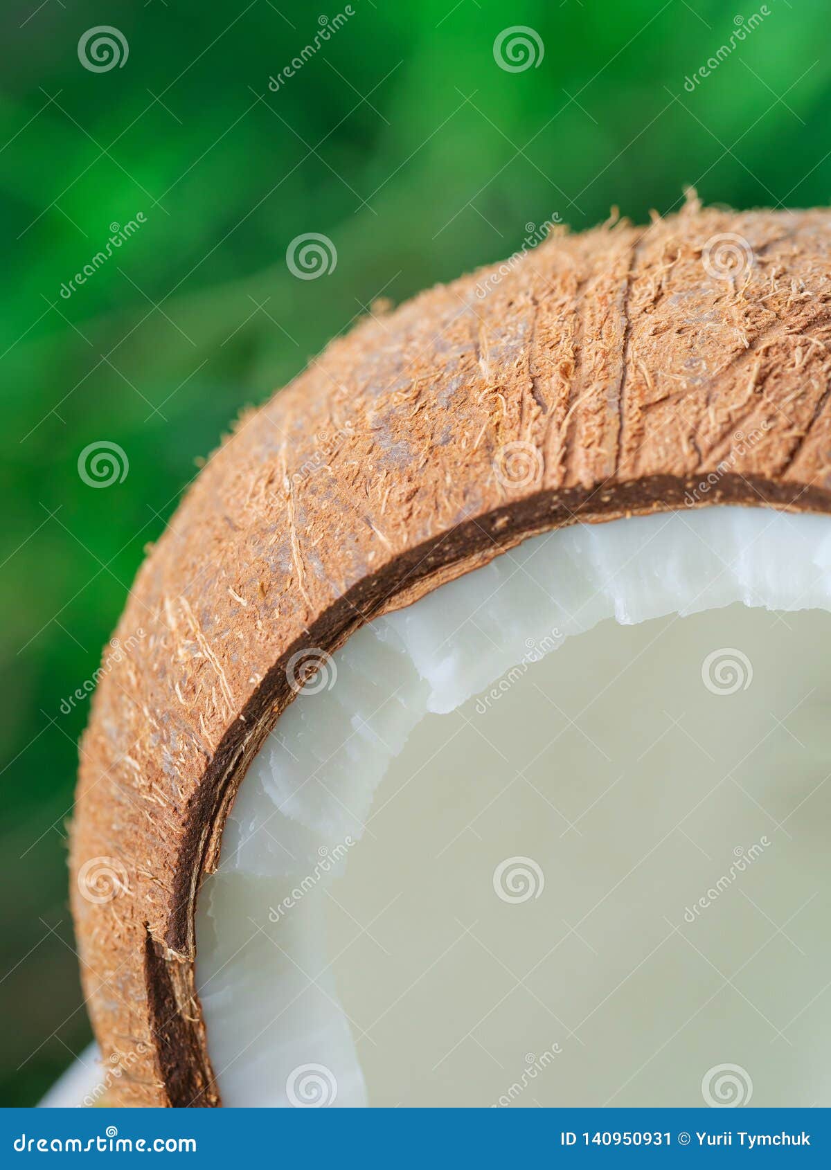 Macro of Coconut Half on Green Background, Coconut Texture Stock Image ...