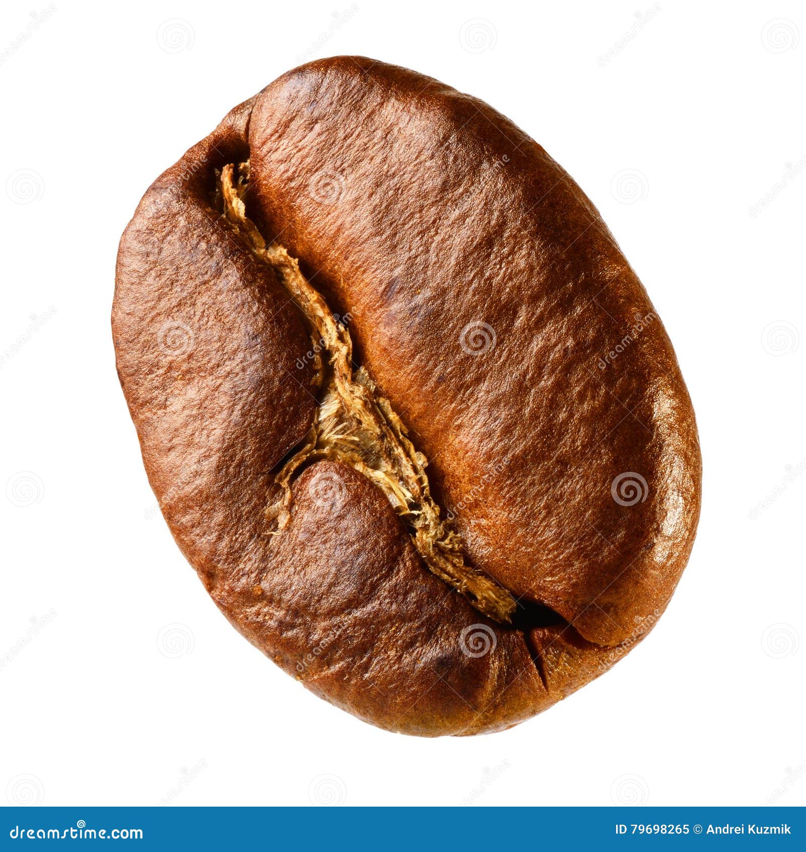 Macro coffee bean stock image. Image of clipping, white - 79698265