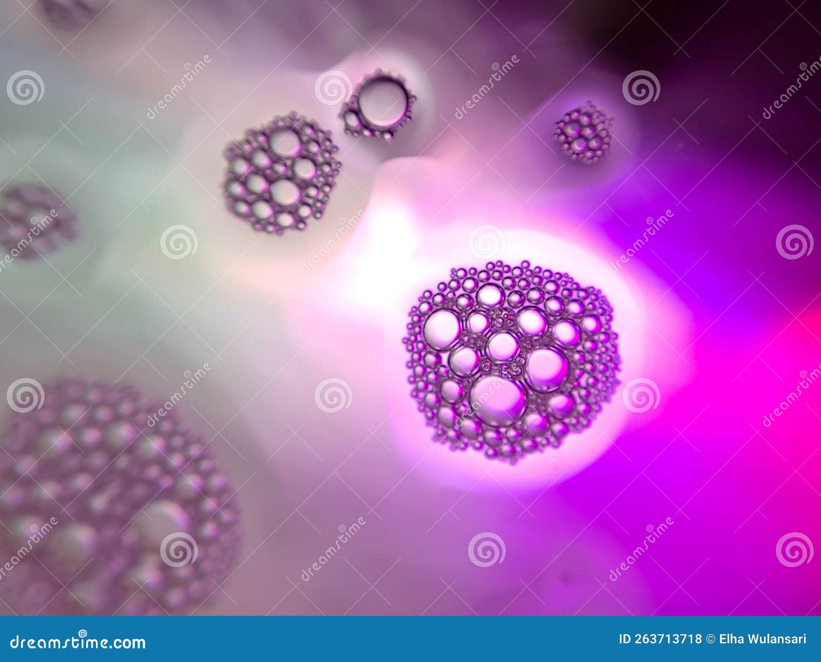 Macro Colorful Soap Bubbles Gradient Abstract Background Blue Pink ...