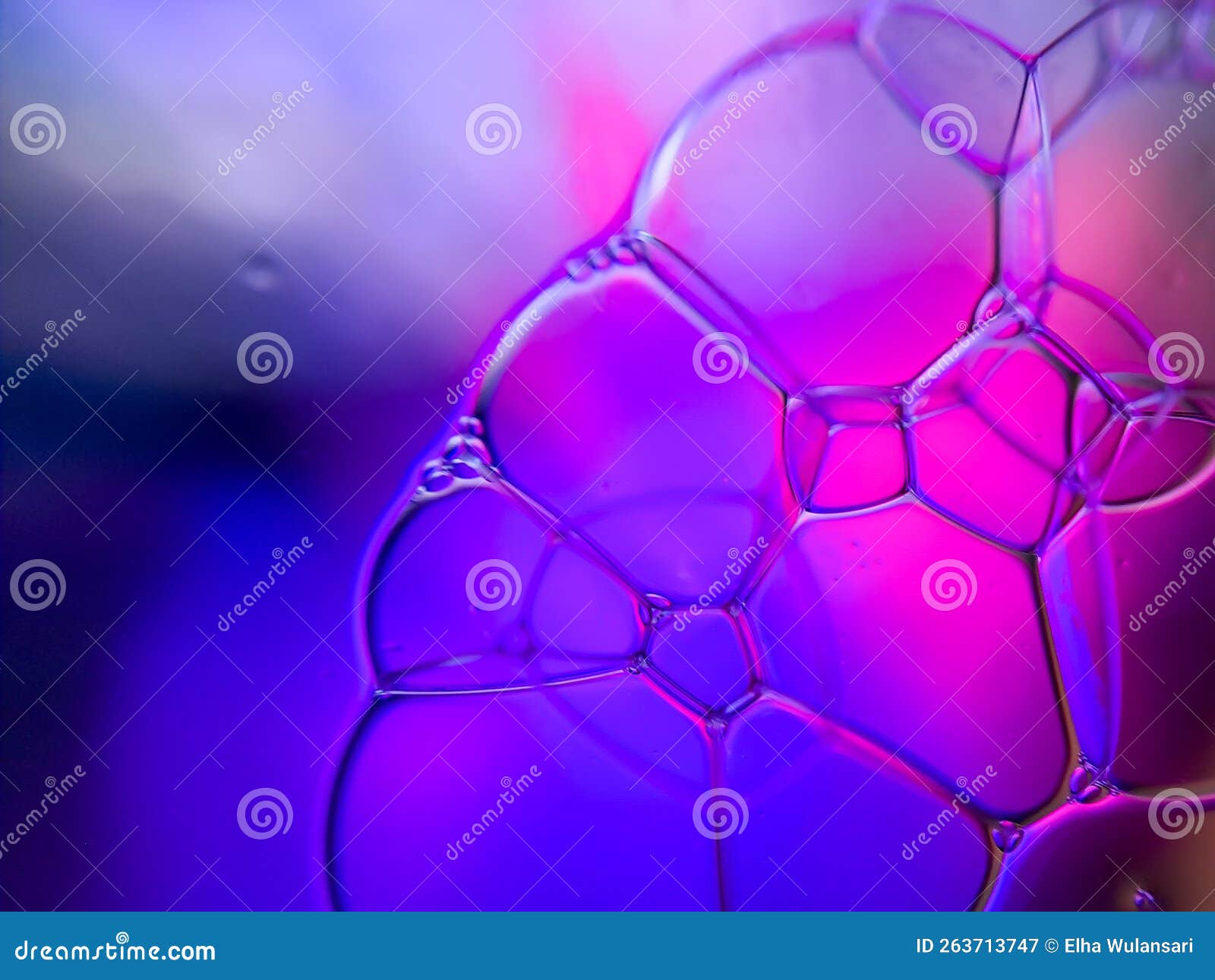 Macro Colorful Soap Bubbles Gradient Abstract Background Blue Pink ...