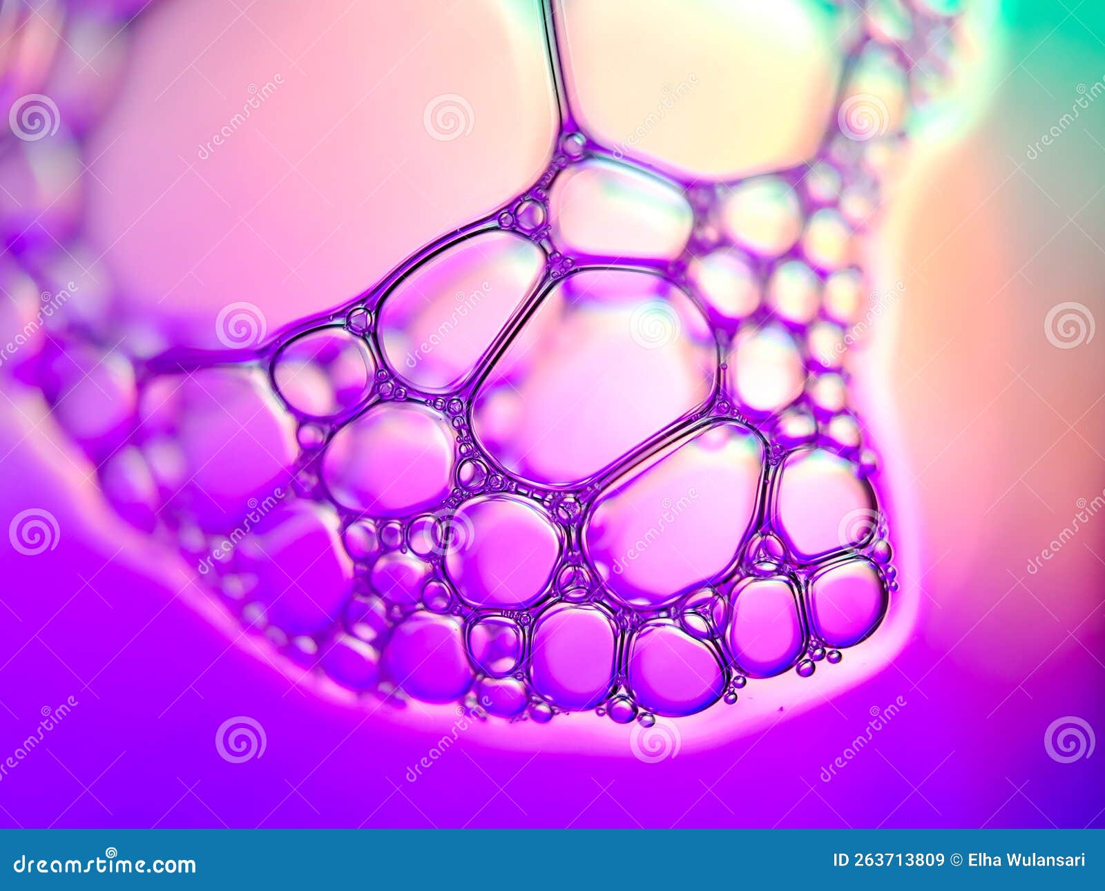 Macro Colorful Soap Bubbles Gradient Abstract Background Blue Pink ...
