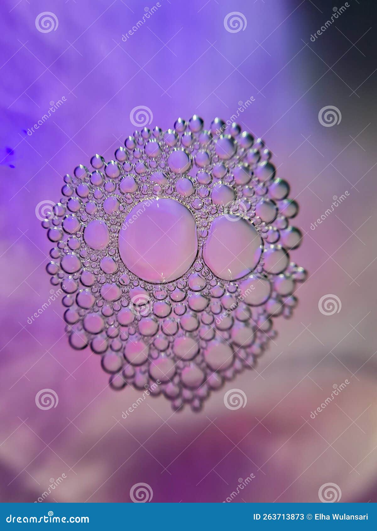 Macro Colorful Soap Bubbles Gradient Abstract Background Blue Pink ...