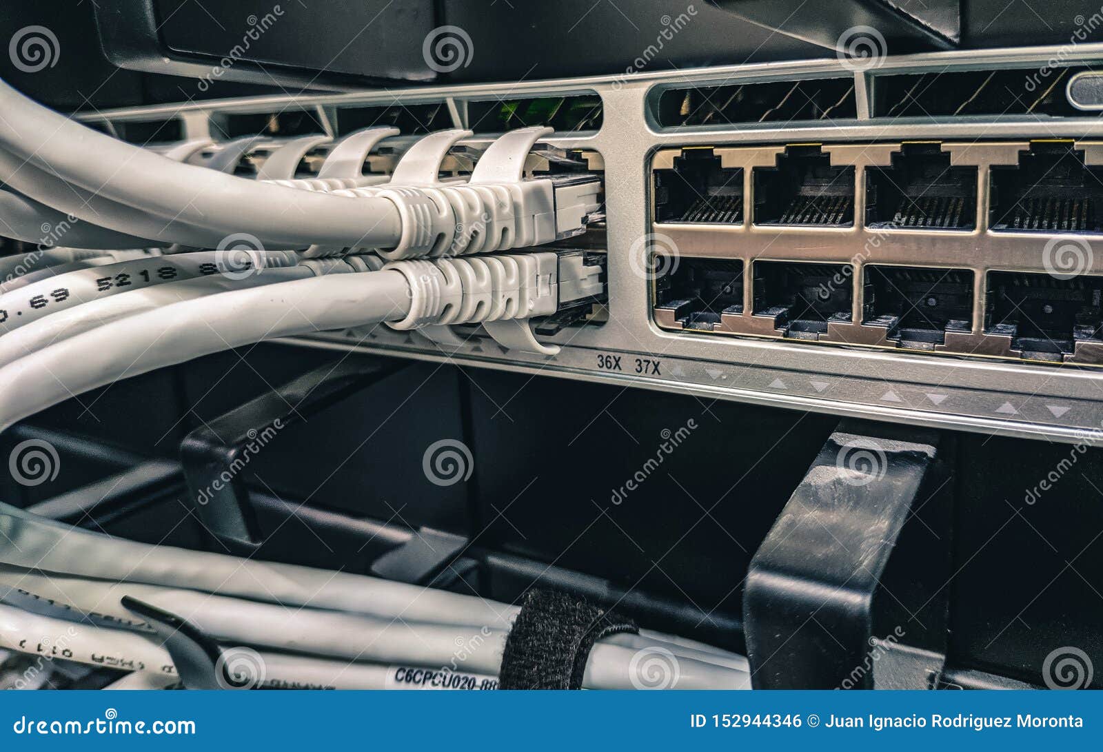 Macro Communication Rack Photo, Data Wiring Jacks Stock Photo - Image ...