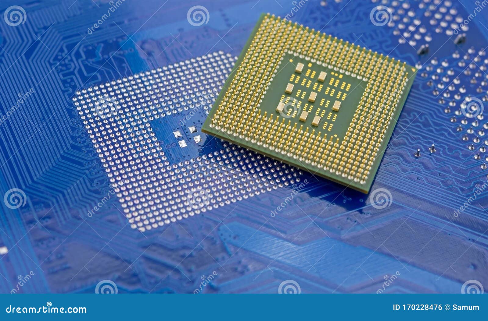 Computer Processor on Blue Motherboard Circuit Stock Photo - Image of ...