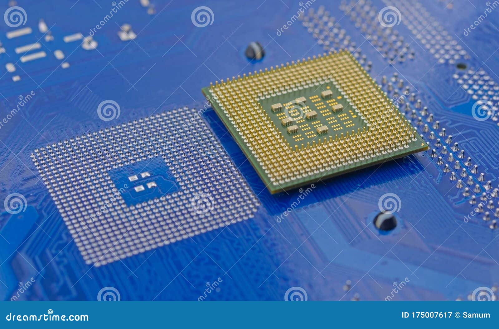 Computer Processor on Blue Motherboard Circuit Stock Image - Image of ...