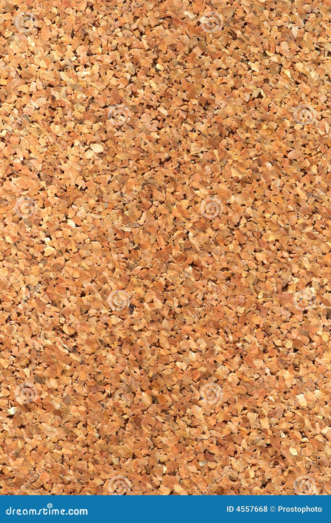 Macro of cork stock photo. Image of announce, blackboard - 4557668