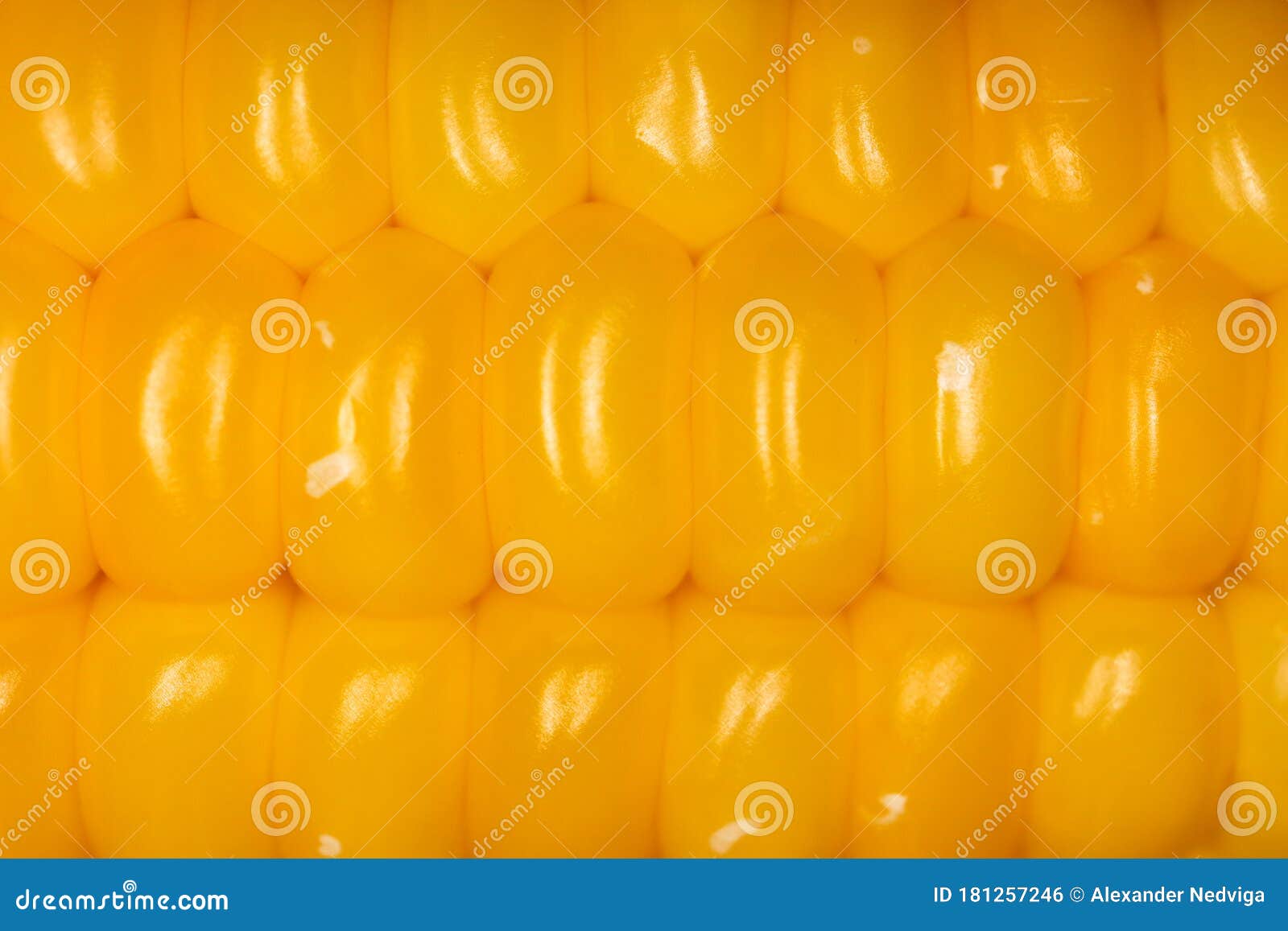 Macro Corn Kernels Closeup Texture Stock Photo - Image of seed, hard ...