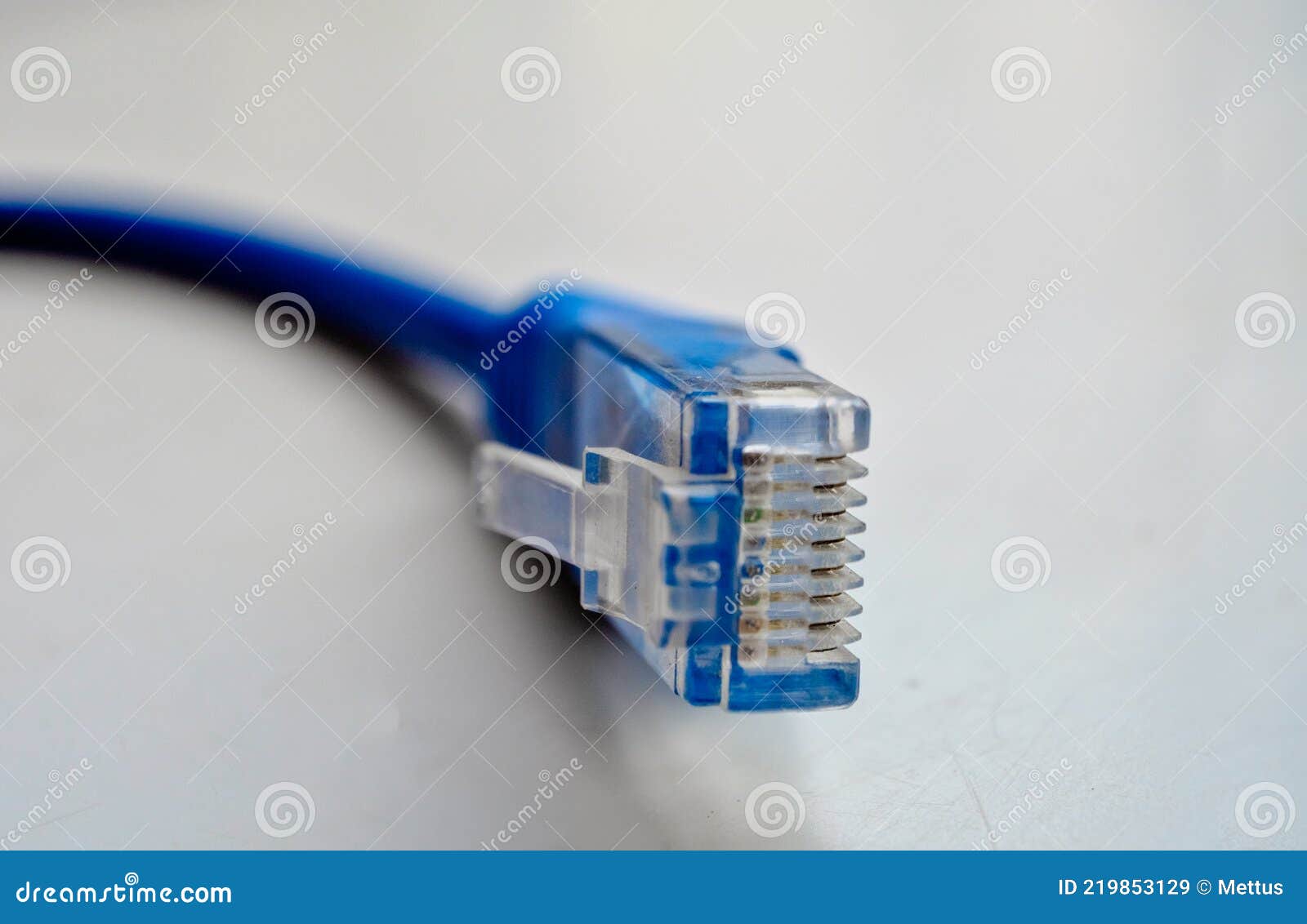 Macro Cross Section Front Angle View Of RJ45 CAT6 Shielded Network Data ...