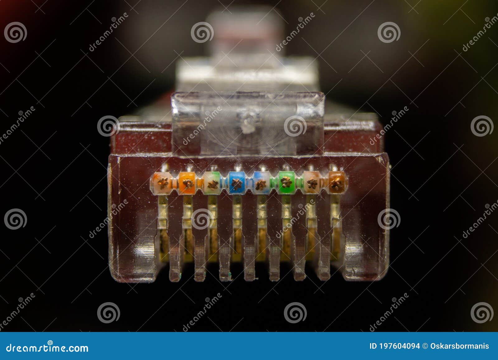 Macro Cross Section Front Angle View of Red RJ45 CAT6 Shielded Network ...
