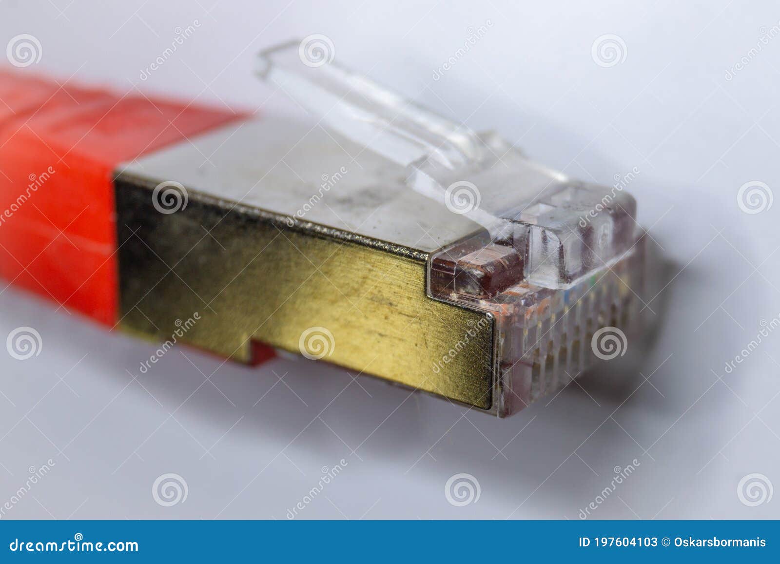 Macro Cross Section Front Angle View Of Red RJ45 CAT6 Shielded Network ...