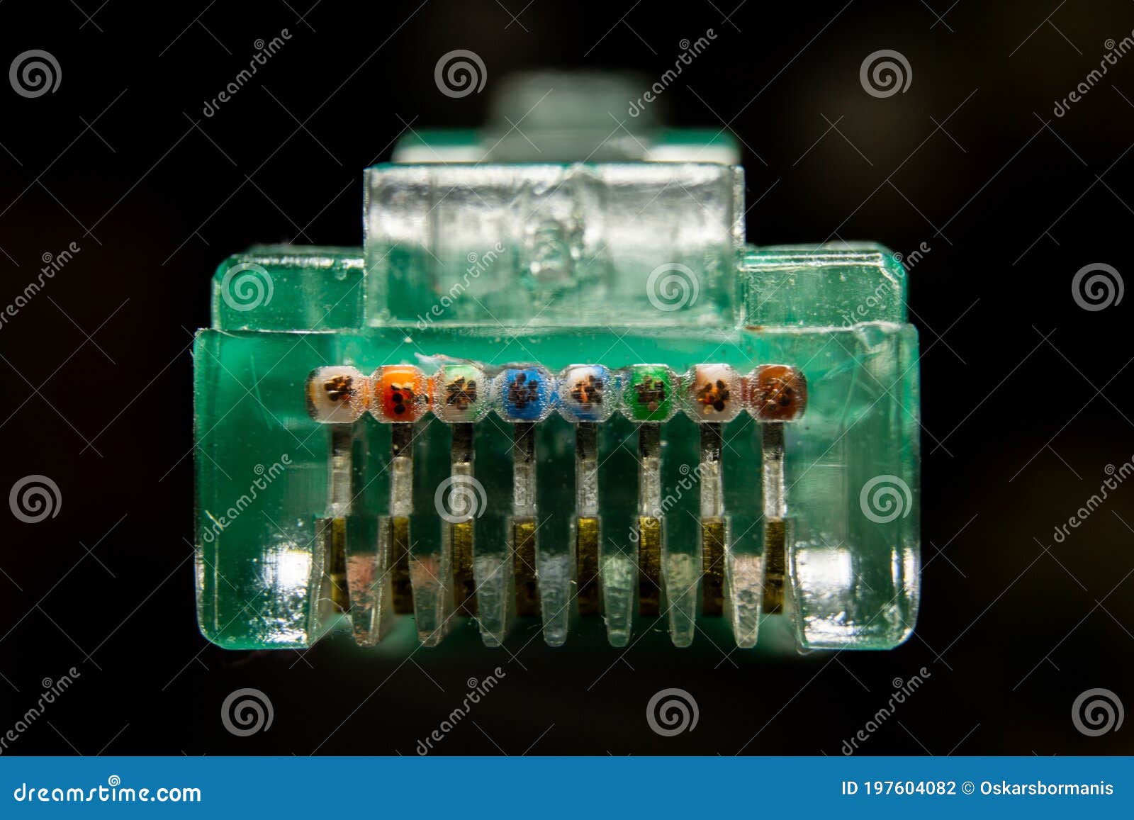 Green RJ45 LAN Connector Stock Photography | CartoonDealer.com #8013878