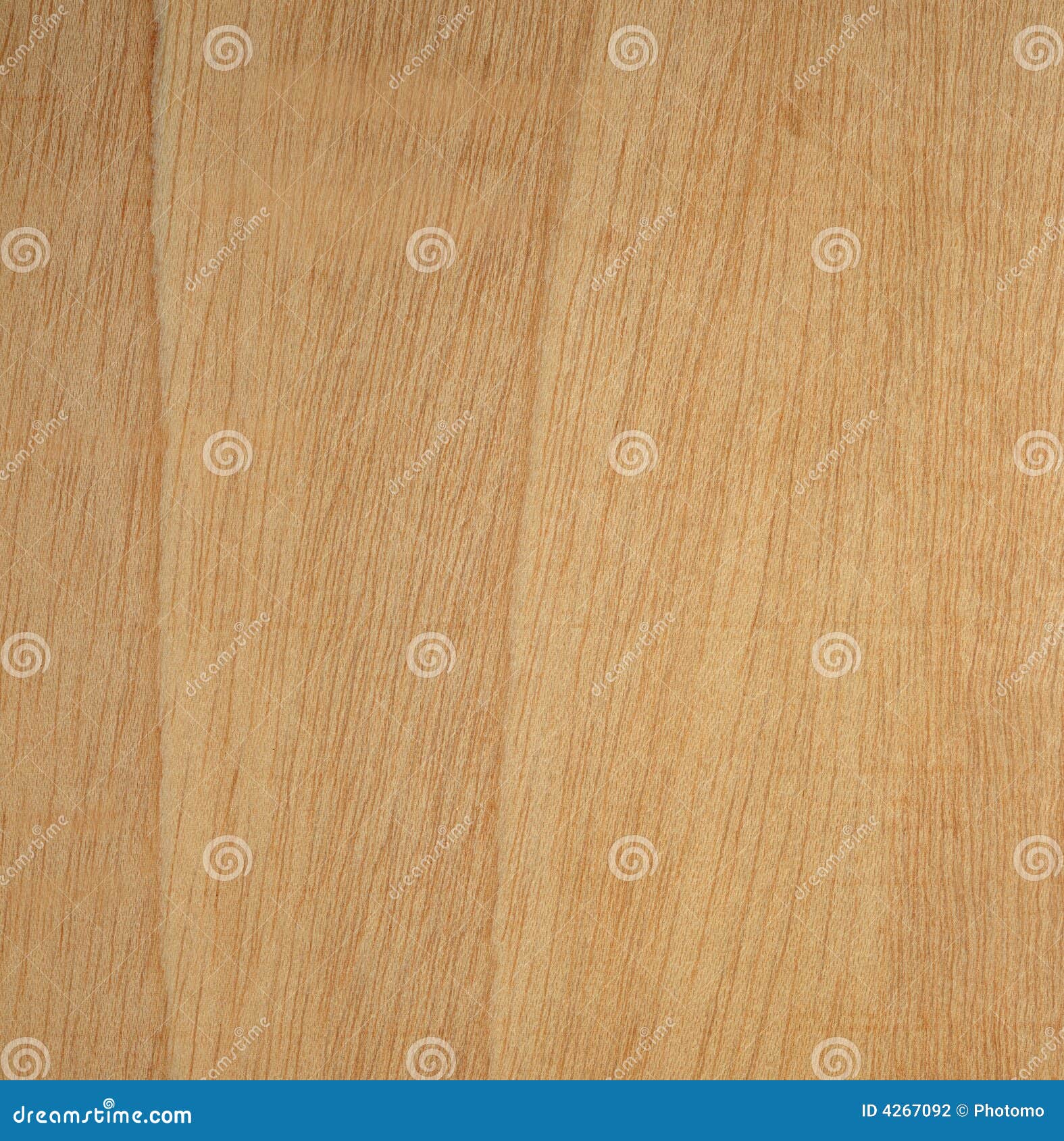 Macro Da Textura Da Madeira De Pinho Imagem. Imagem: 4267092
