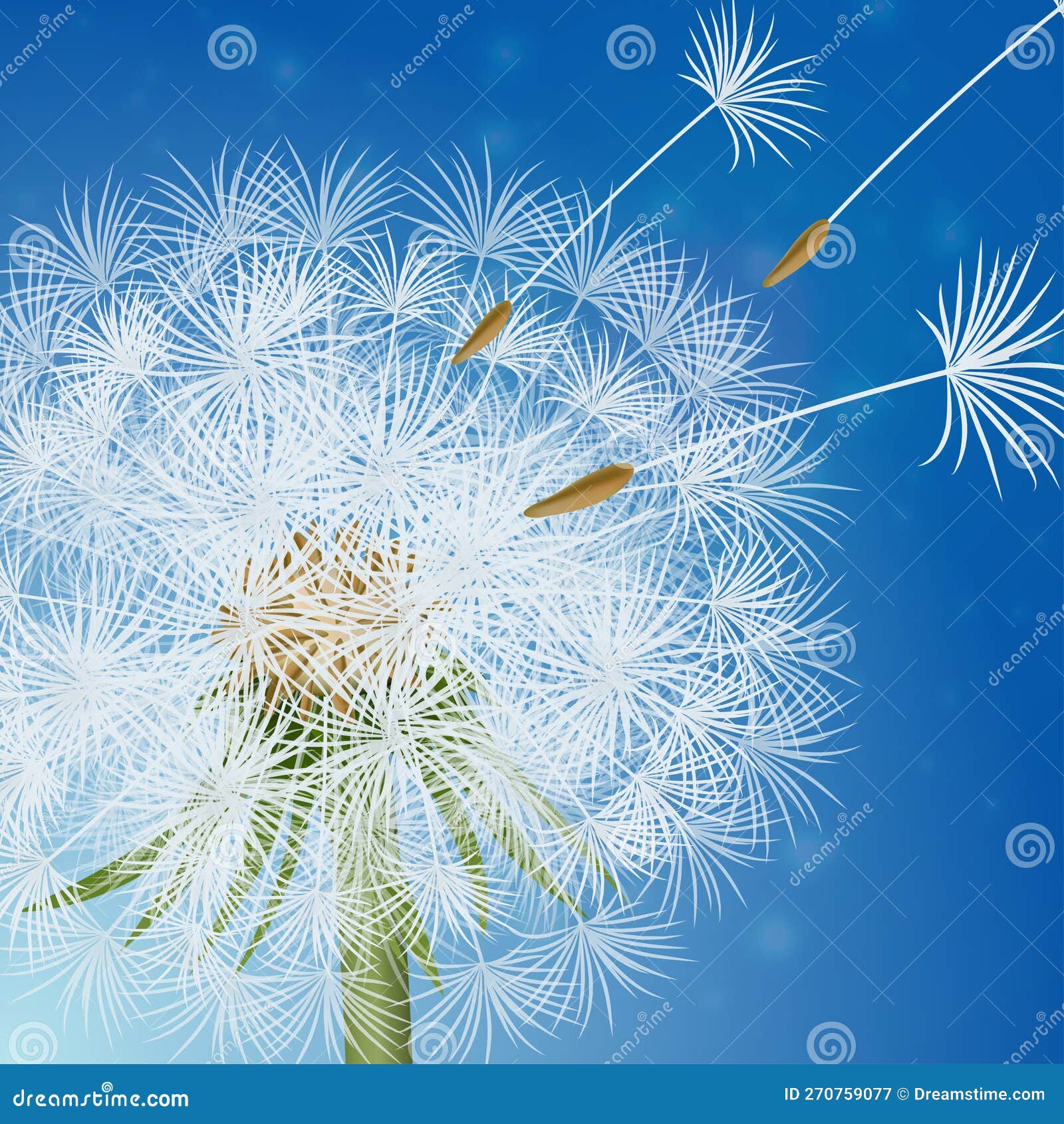 Macro Dandelion, Wallpaper, Abstract Background, Dandelion Flower with ...
