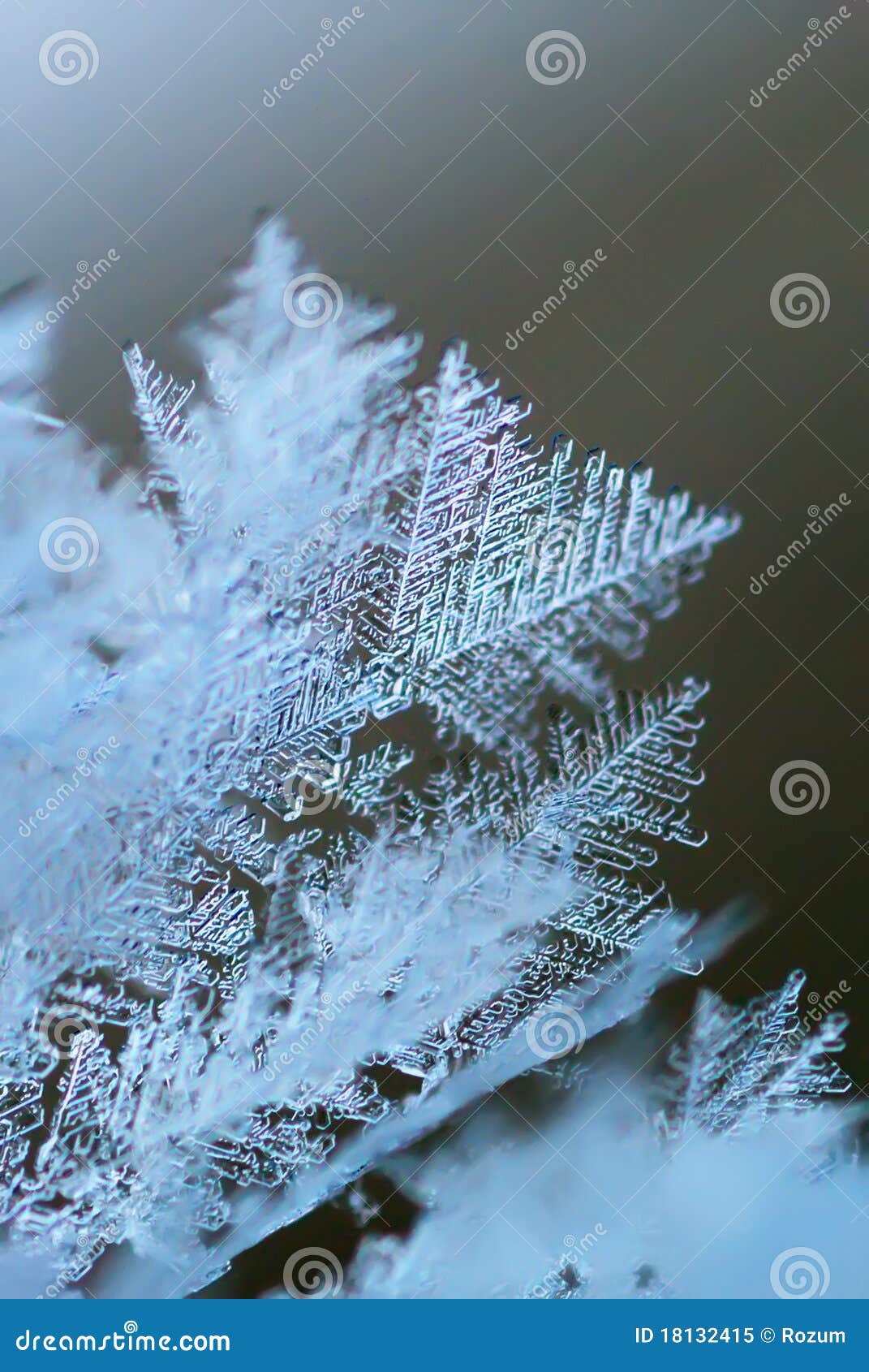 Macro de la escarcha imagen de archivo. Imagen de fondo - 18132415