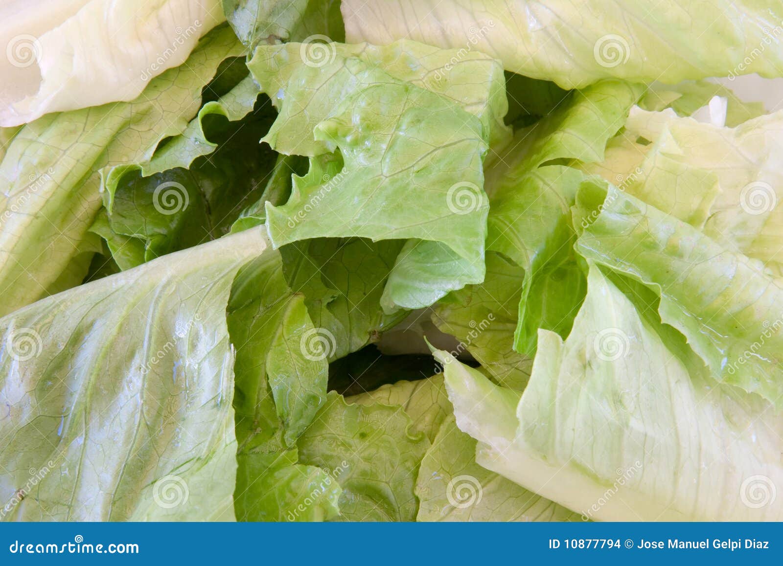 Macro De La Lechuga De Hoja Verde Foto de archivo - Imagen de frescura ...