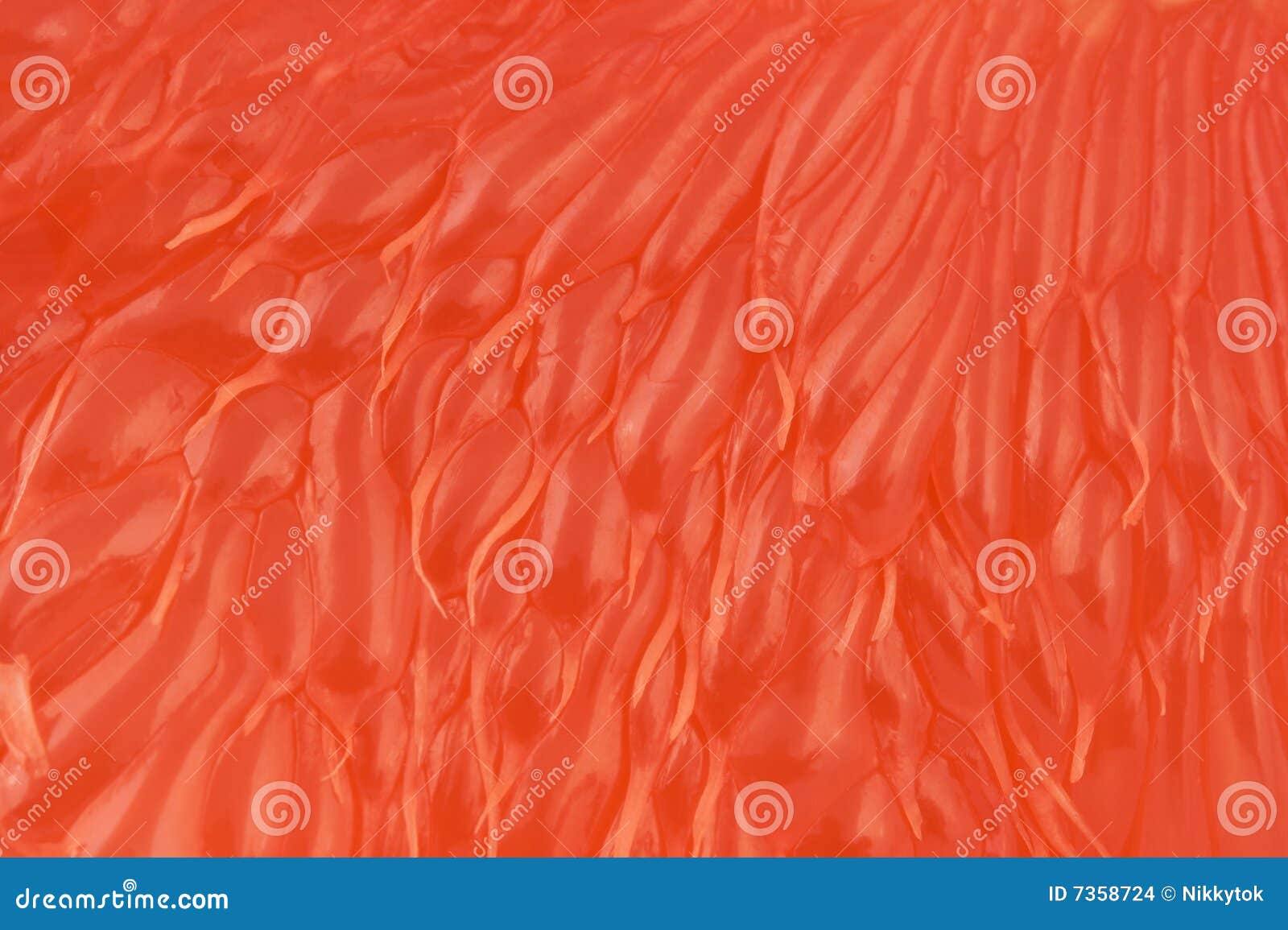 Macro De La Textura Del Pomelo Foto de archivo - Imagen de frescura ...