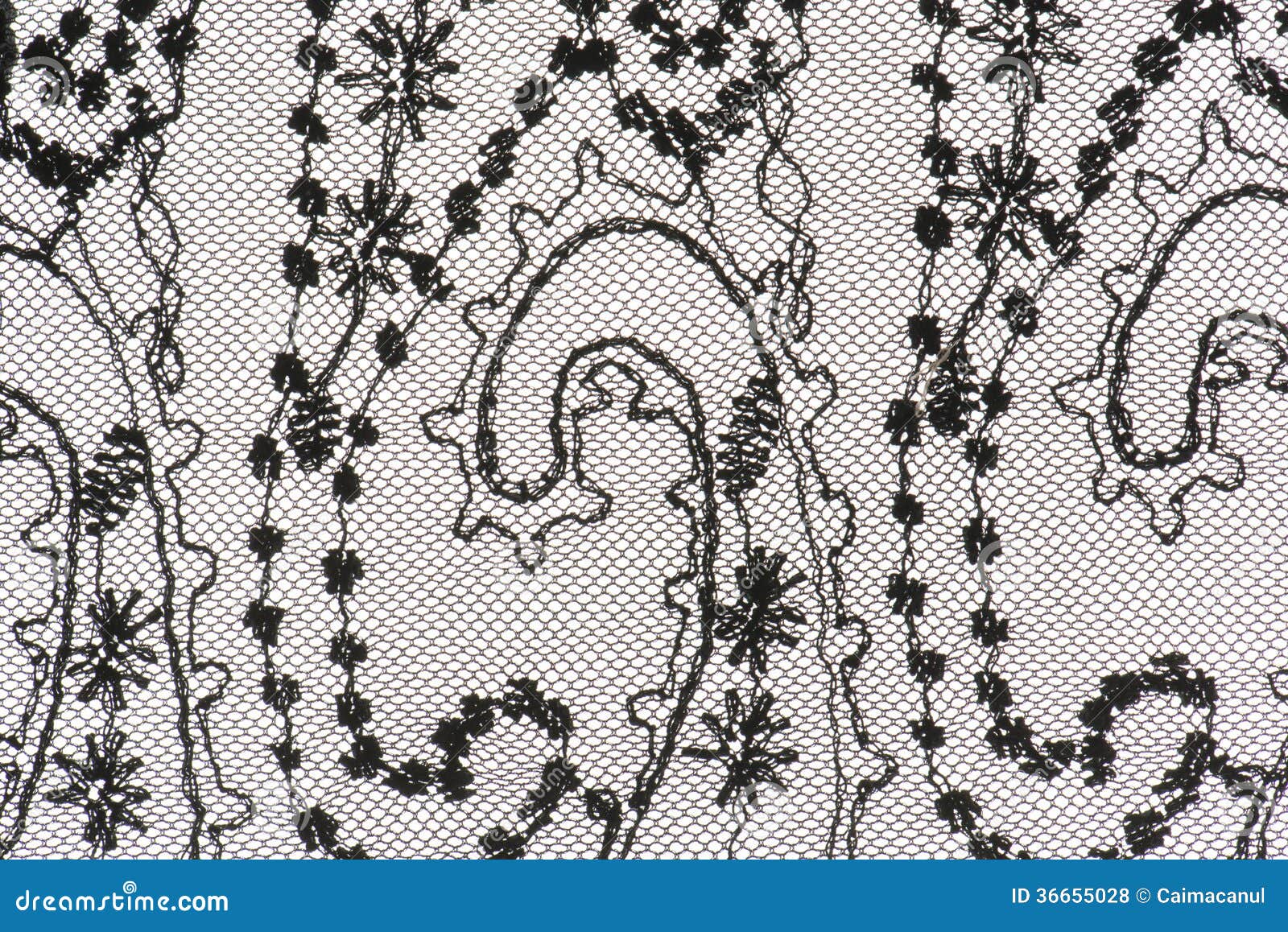 Macro De Texture Noire De Dentelle Photo stock - Image du conception ...