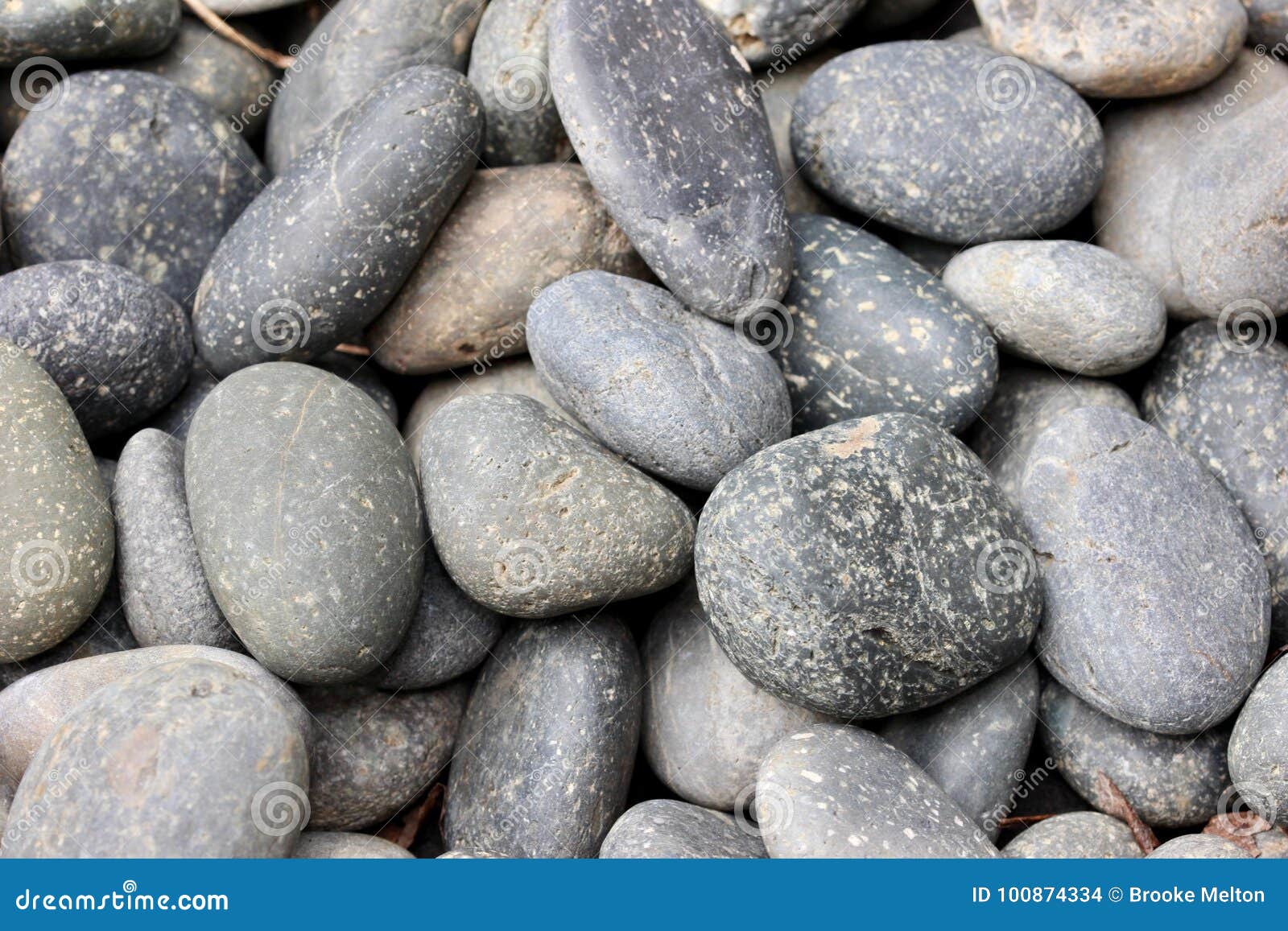 Macro Del Fondo De La Roca Del Río Foto de archivo - Imagen de verano ...