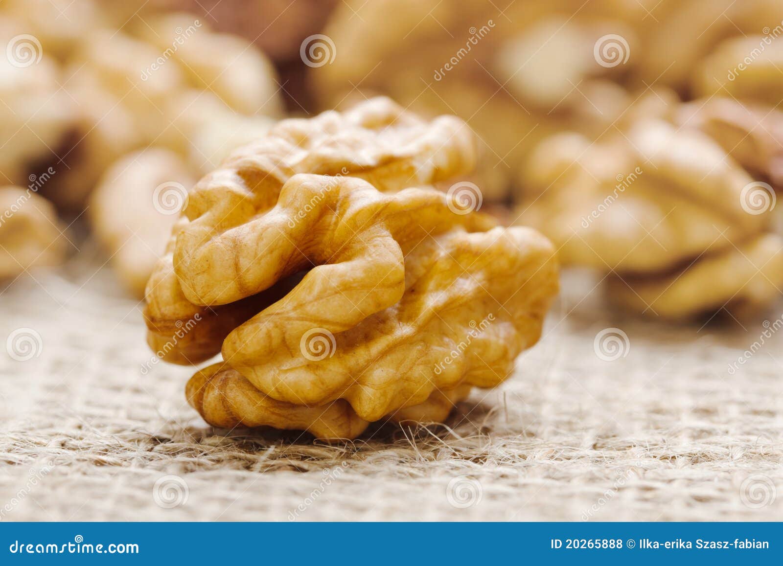 Macro del gheriglio fotografia stock. Immagine di tela - 20265888