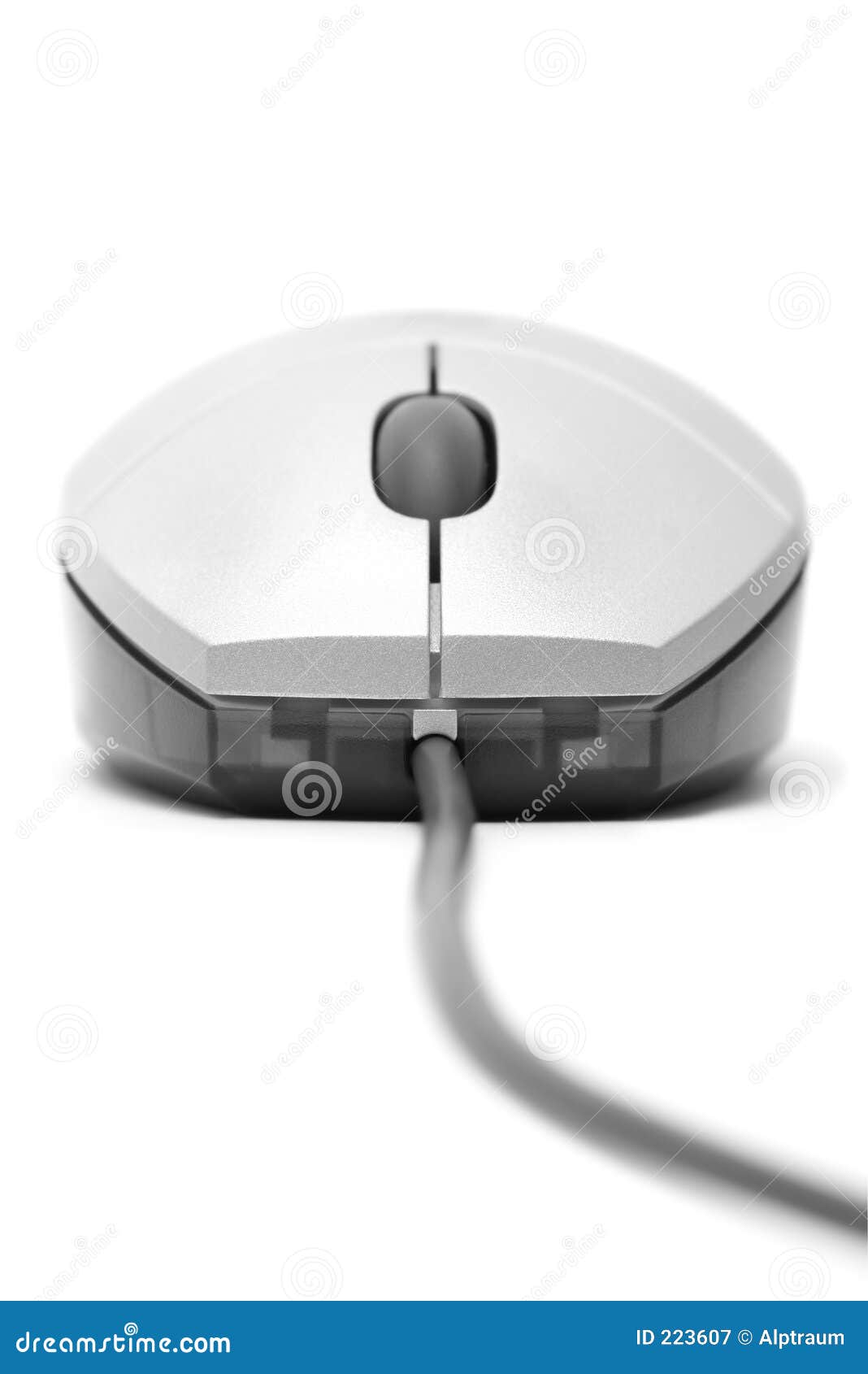 Macro del mouse immagine stock. Immagine di chiusura, calcolatore - 223607