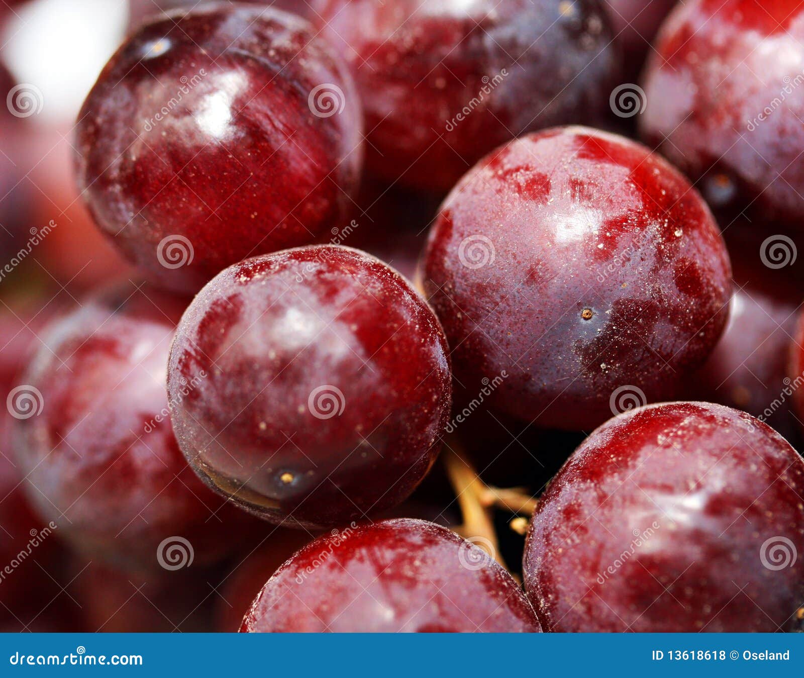 Macro dell'uva rossa fotografia stock. Immagine di macro - 13618618