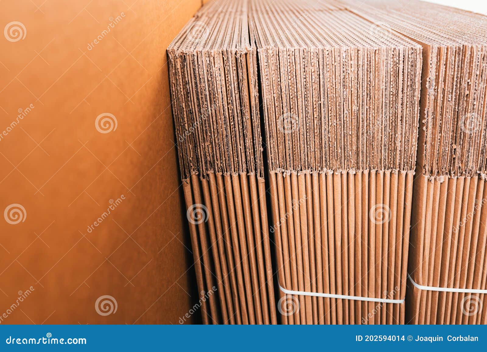 Macro Detail of the Corrugated Cardboard Sheets Stock Photo - Image of ...