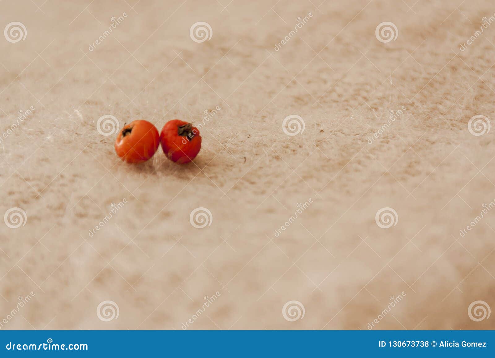 Macro Detail of Two Small Orange Tomatoes Stock Photo - Image of plant ...