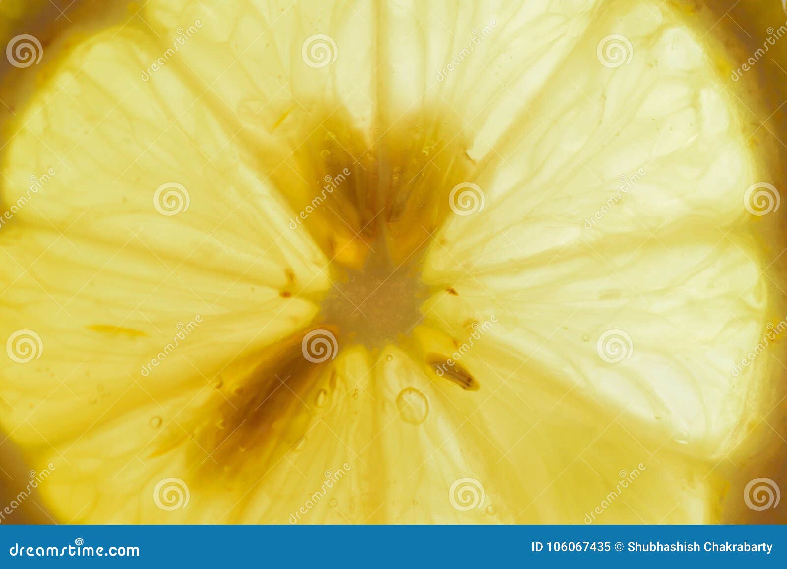 Macro Details of Lemon Slices Stock Image - Image of freshness, macro ...