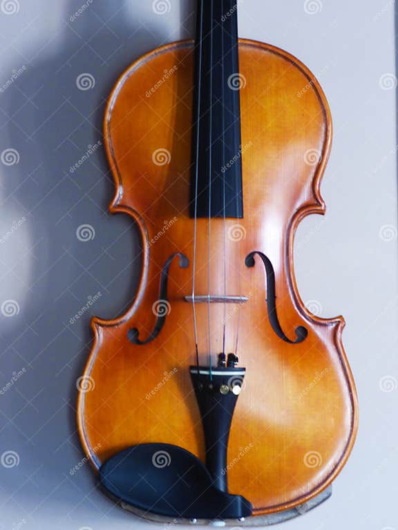 Viola scroll detail stock photo. Image of cutout, white - 207715764