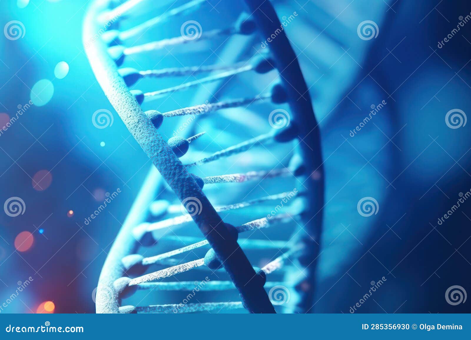 Macro Of DNA Helix Realistic Model Genome Molecule Educative Material ...